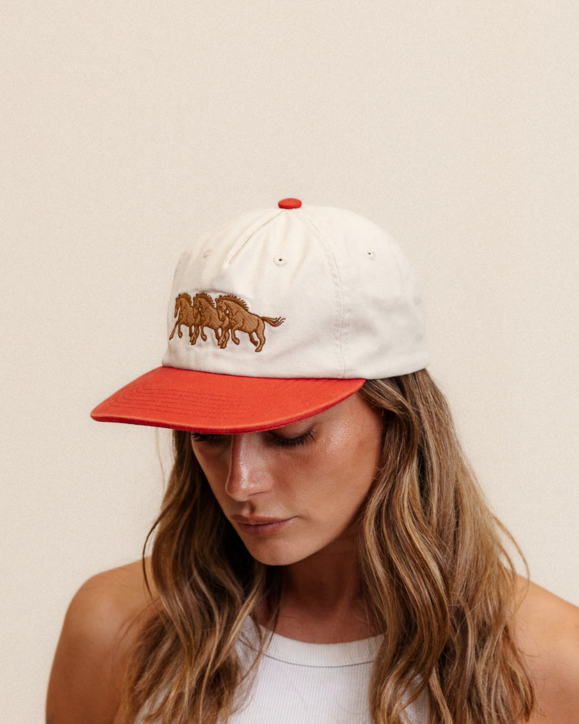5 Panel & 6 Panel Caps | Men's & Womens Headwear – P&Co USA
